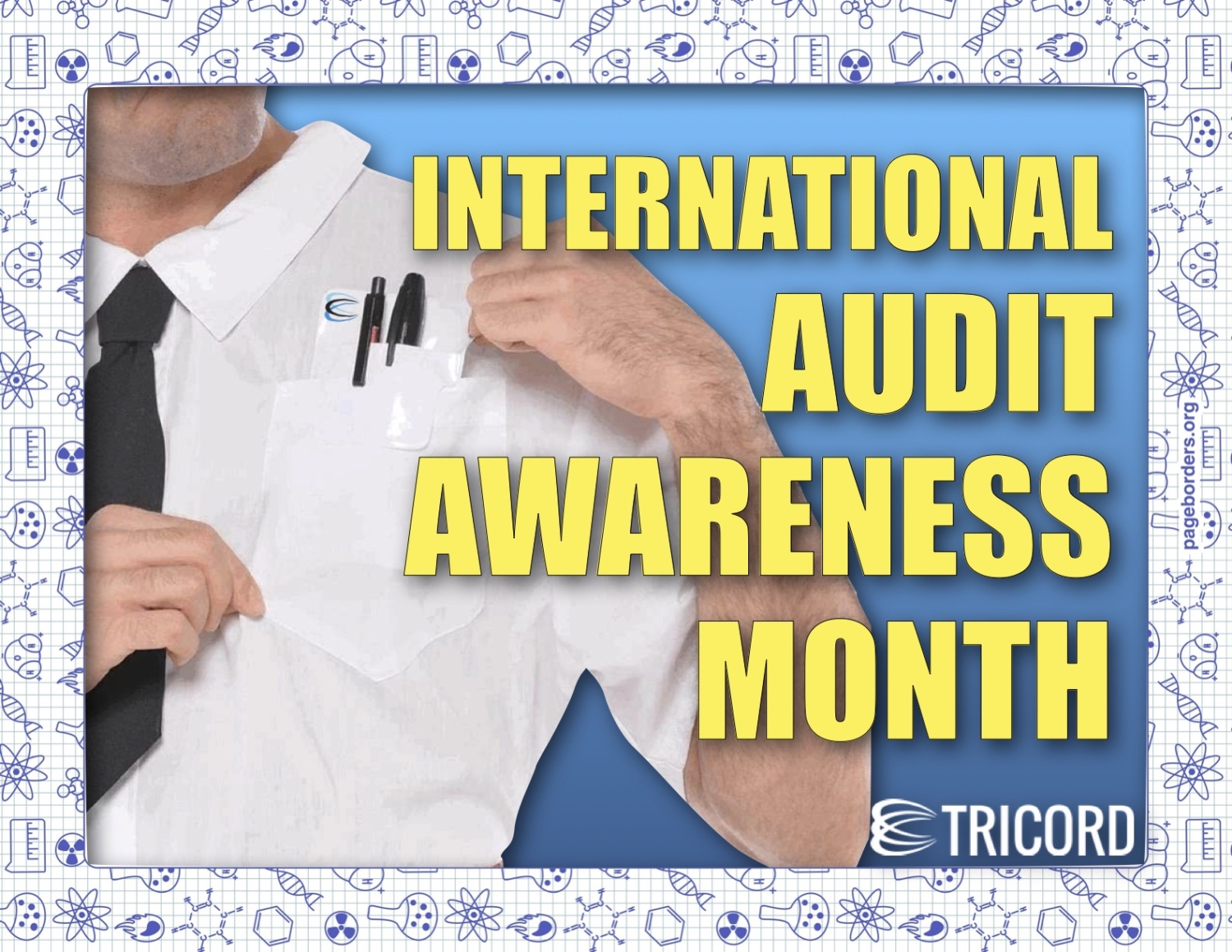 The Importance of Internal Auditing - TRICORD CONSULTING