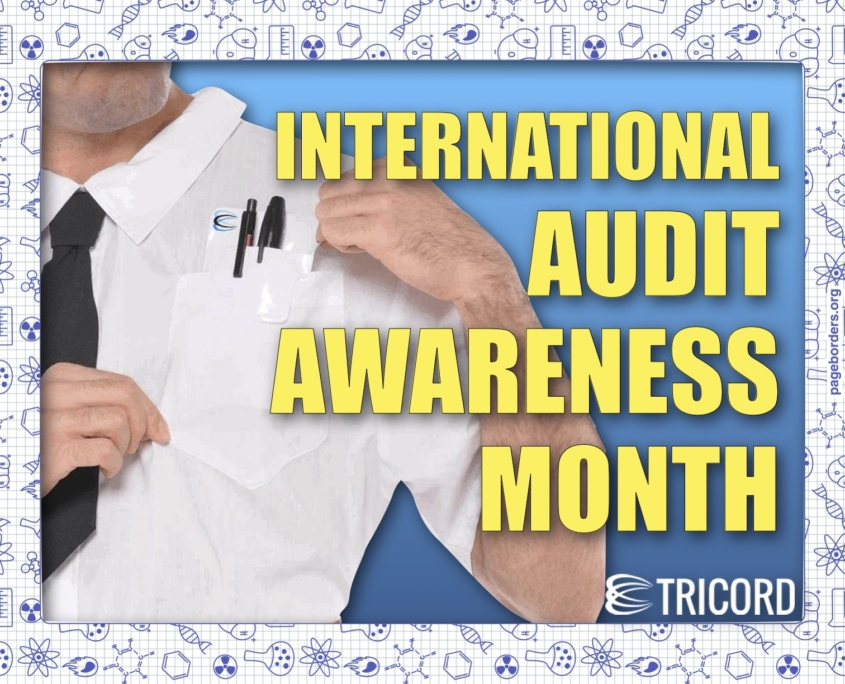 Audits Archives - TRICORD CONSULTING