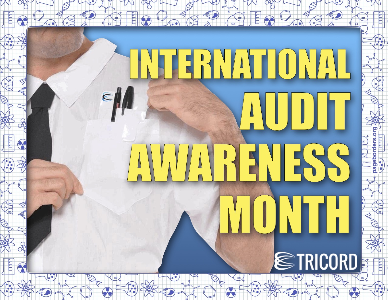 The Importance of Internal Auditing - TRICORD CONSULTING